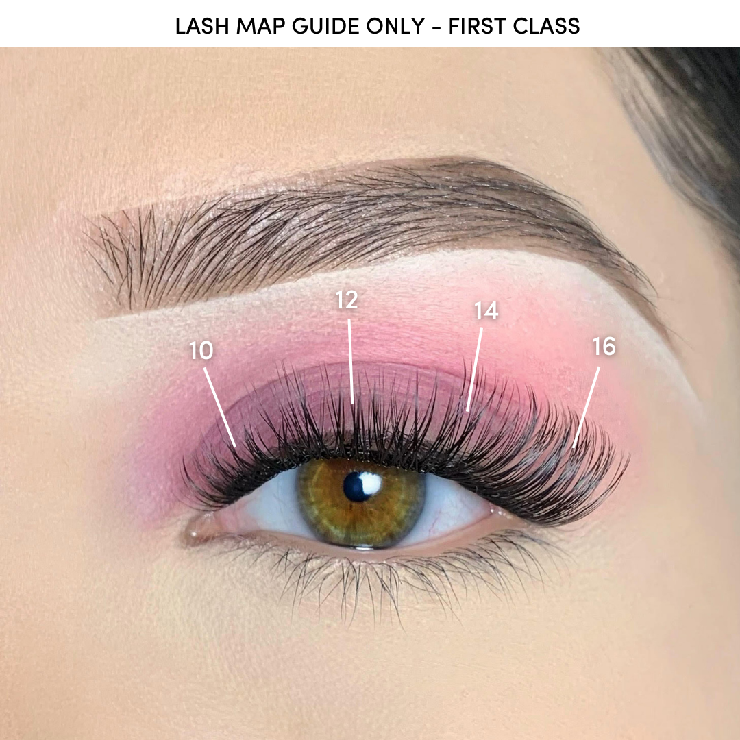 First Class | Classic Collection – Pink Purée