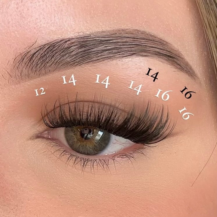 First Class Multi-pack – Pink Purée